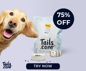 Over 60s discounts, deals and offers, available for free.